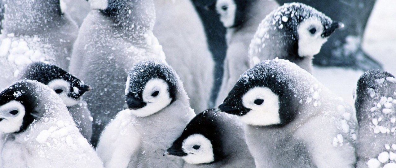 Comprehensive AIX system backup script (mksysb, iosbackup) - *nix the ...